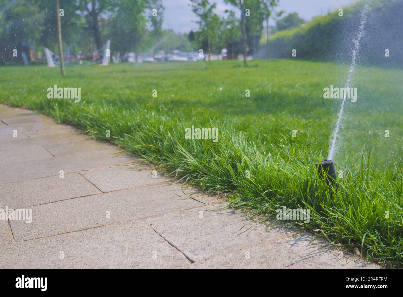 automatic watering grass, garden lawn sprinkler in action Stock Photo ...