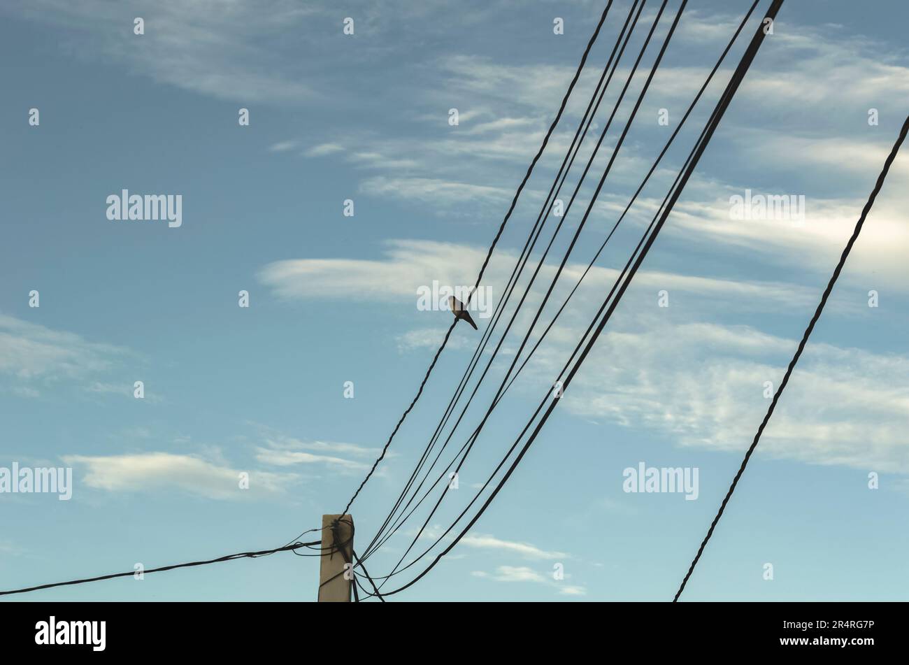 Utility Cables Across The Sky Stock Photo - Alamy