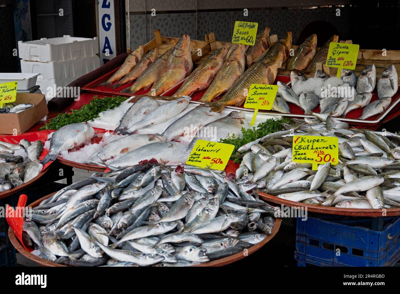 Gol baligi sazan hi-res stock photography and images - Alamy