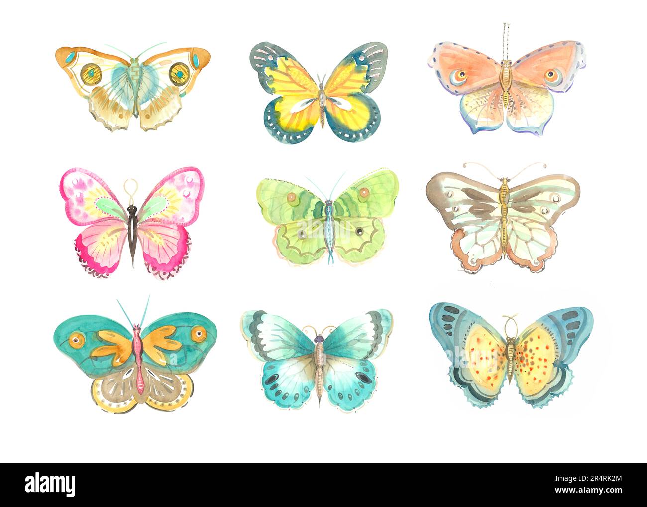 multi colour butterfly on white background, modern design. vector ...