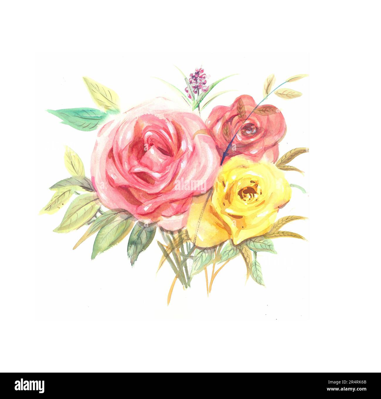 Vector yellow rose floral Cut Out Stock Images & Pictures - Alamy