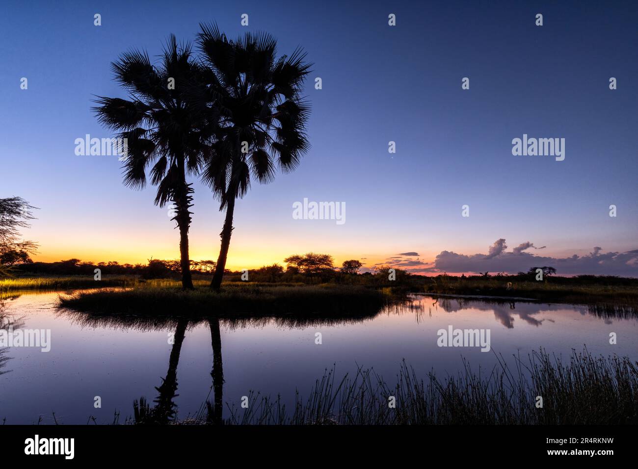 Sunset at the waterhole at Onguma Bush Camp, Onguma Game Reserve ...