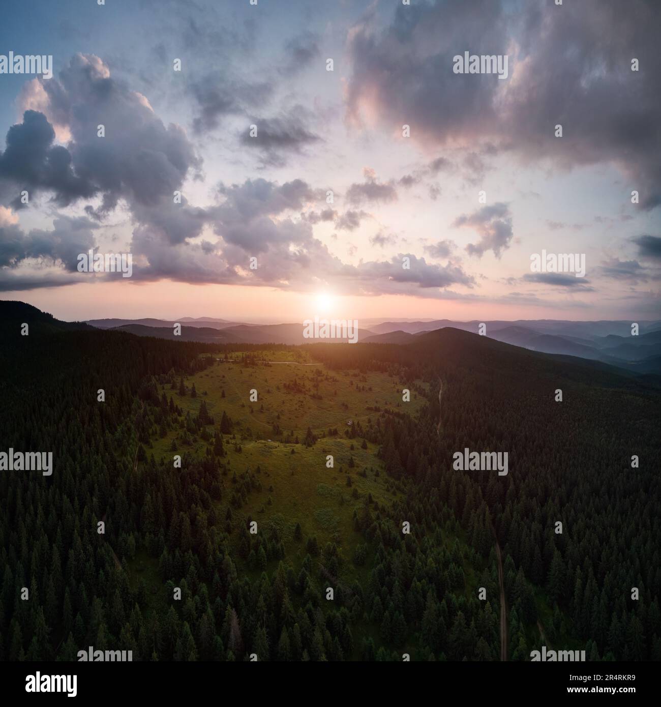 Aerial view of green coniferous alpine trees with deforested area under ...