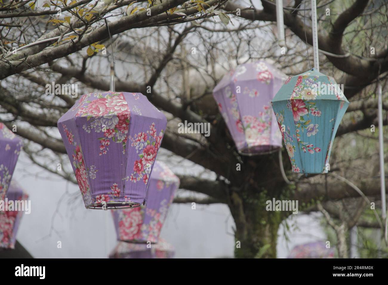 Taiwan trip during spring Stock Photo - Alamy