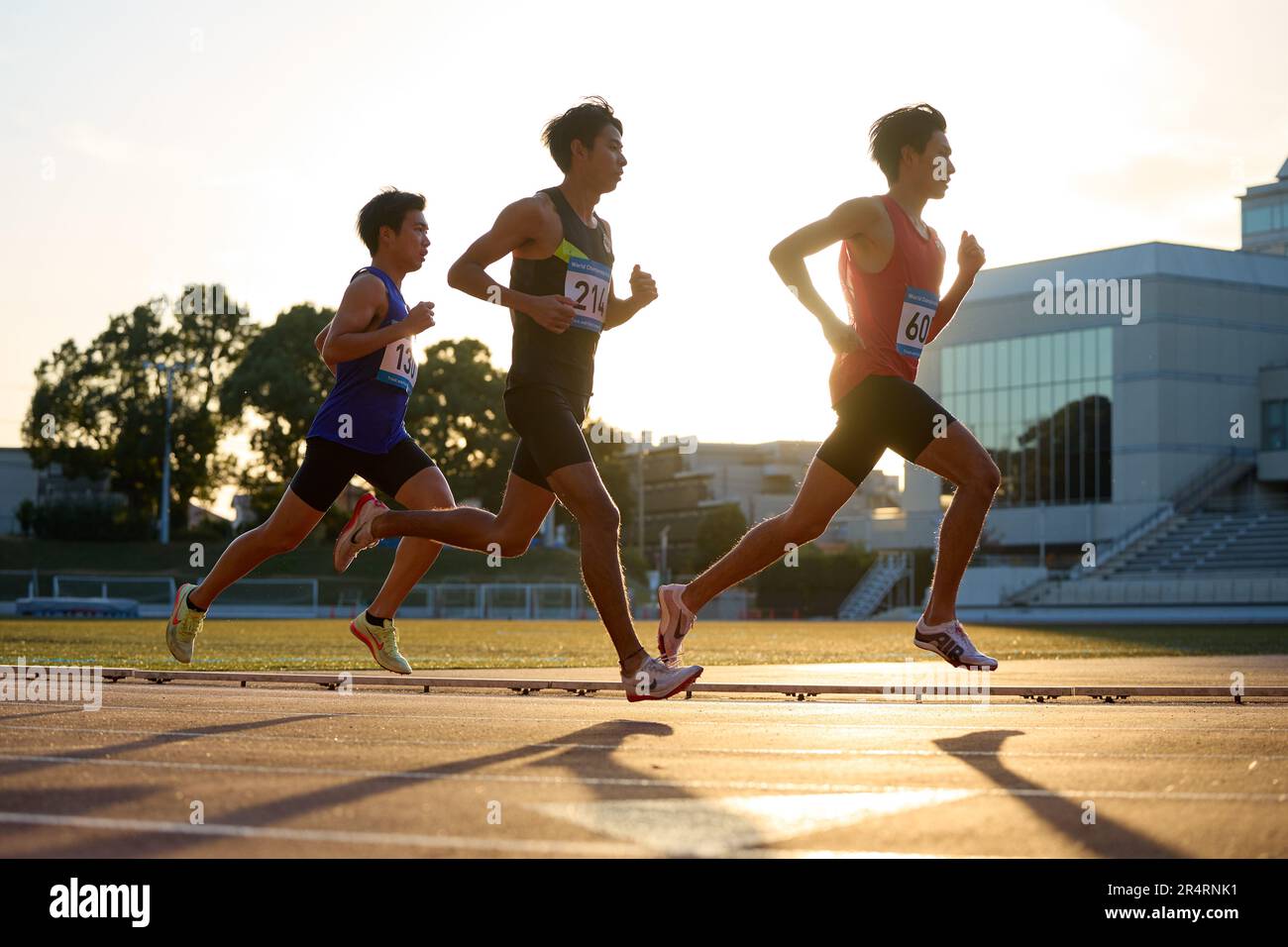 Japanese athletes running on track Stock Photo - Alamy