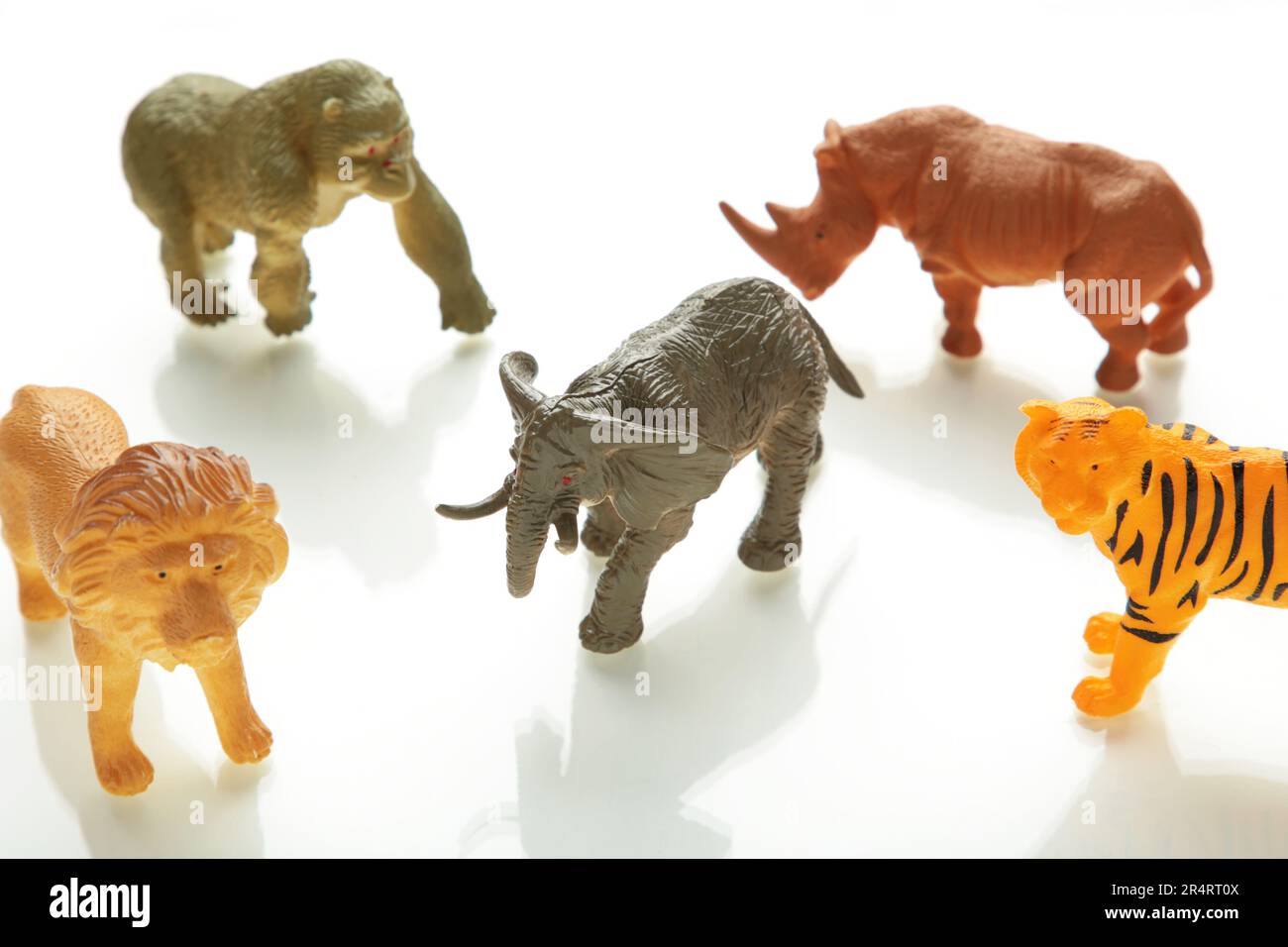 Collection animals concept model toy on white background. Zoo Stock ...