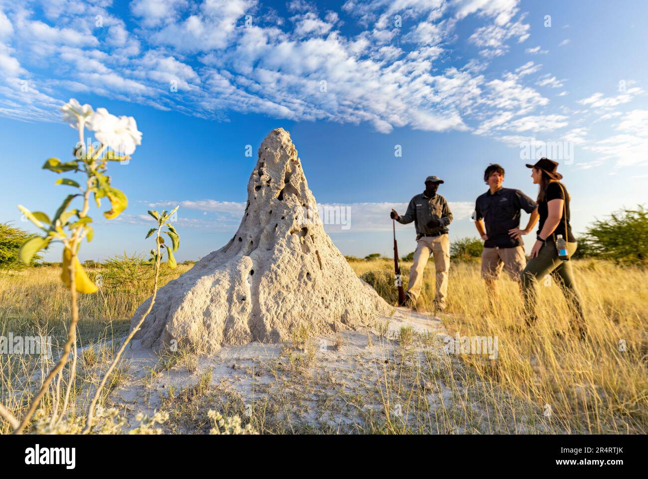 Interpretive Bush Walk at Onguma Game Reserve, Namibia, Africa [Shallow ...