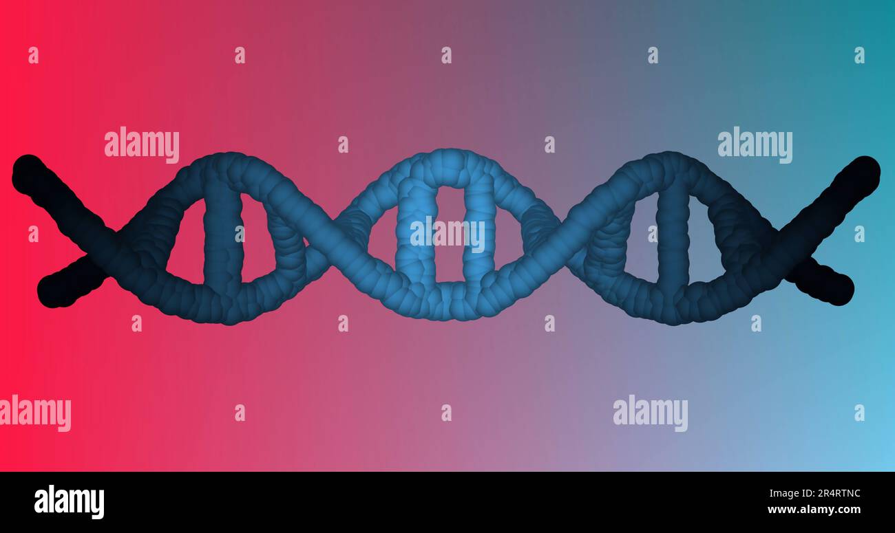 Image of dna strand spinning on pink to blue background Stock Photo - Alamy