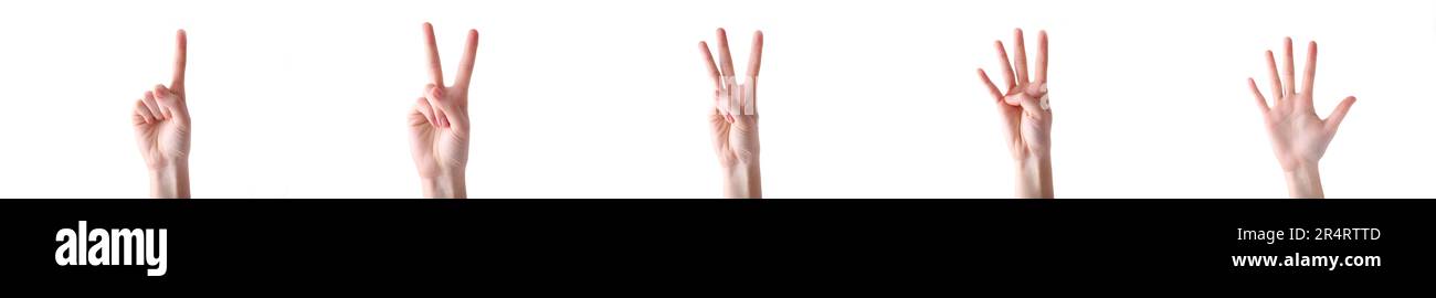 Numbers hands counting 1 to 5 Cut Out Stock Images & Pictures - Alamy