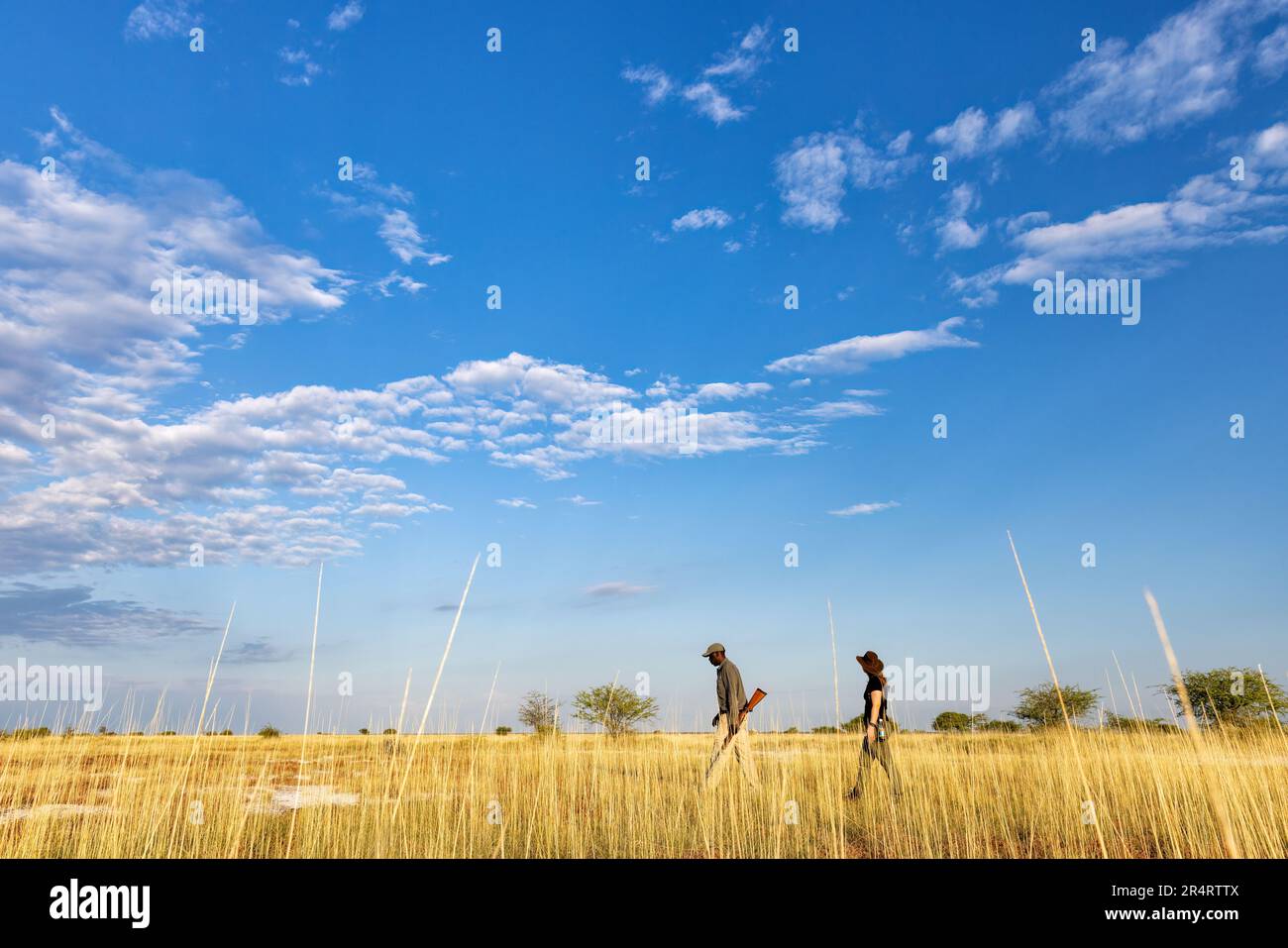 Woman bush walk hi-res stock photography and images - Alamy