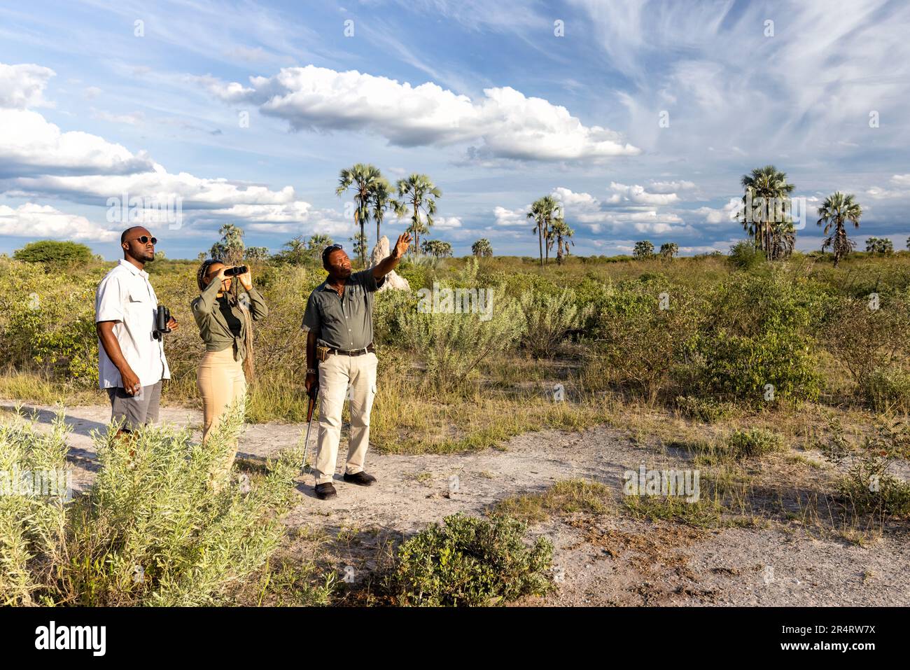 Interpretive Bush Walk at Onguma Game Reserve, Namibia, Africa Stock ...