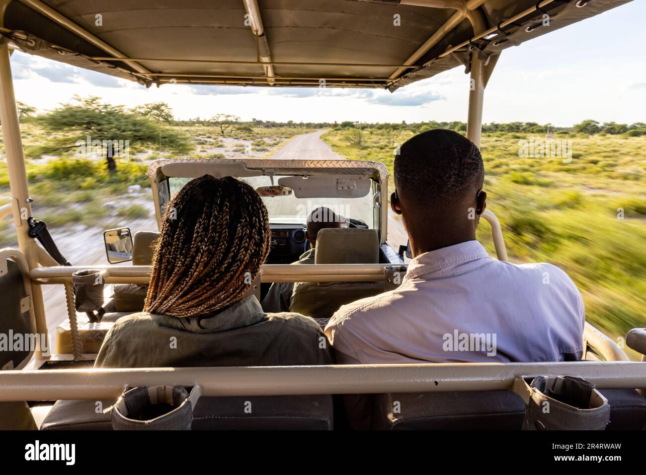 Couple on game drive in Onguma Game Reserve, Namibia, Africa Stock ...