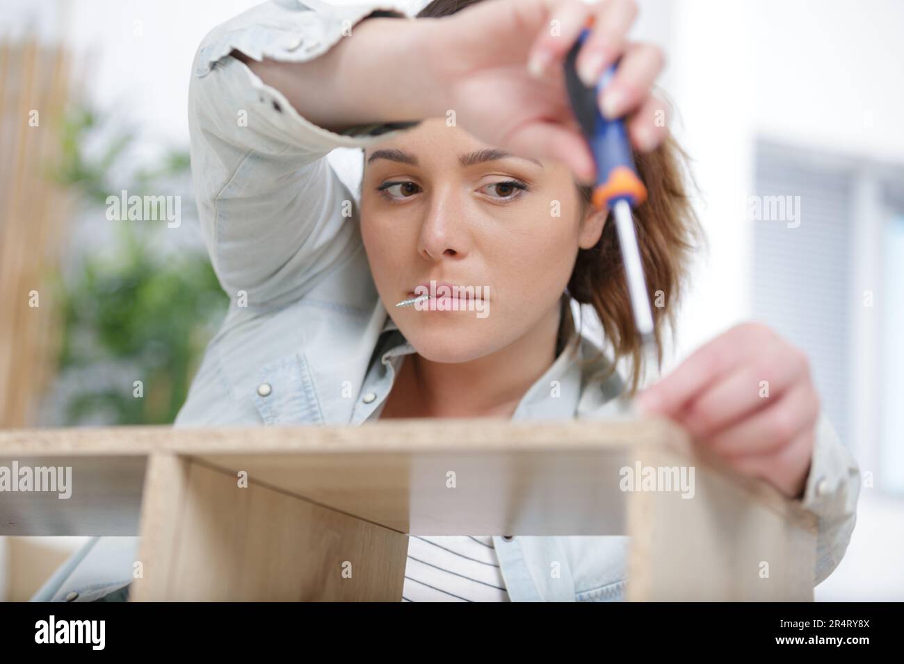 Self assembly furniture shop hi-res stock photography and images - Alamy