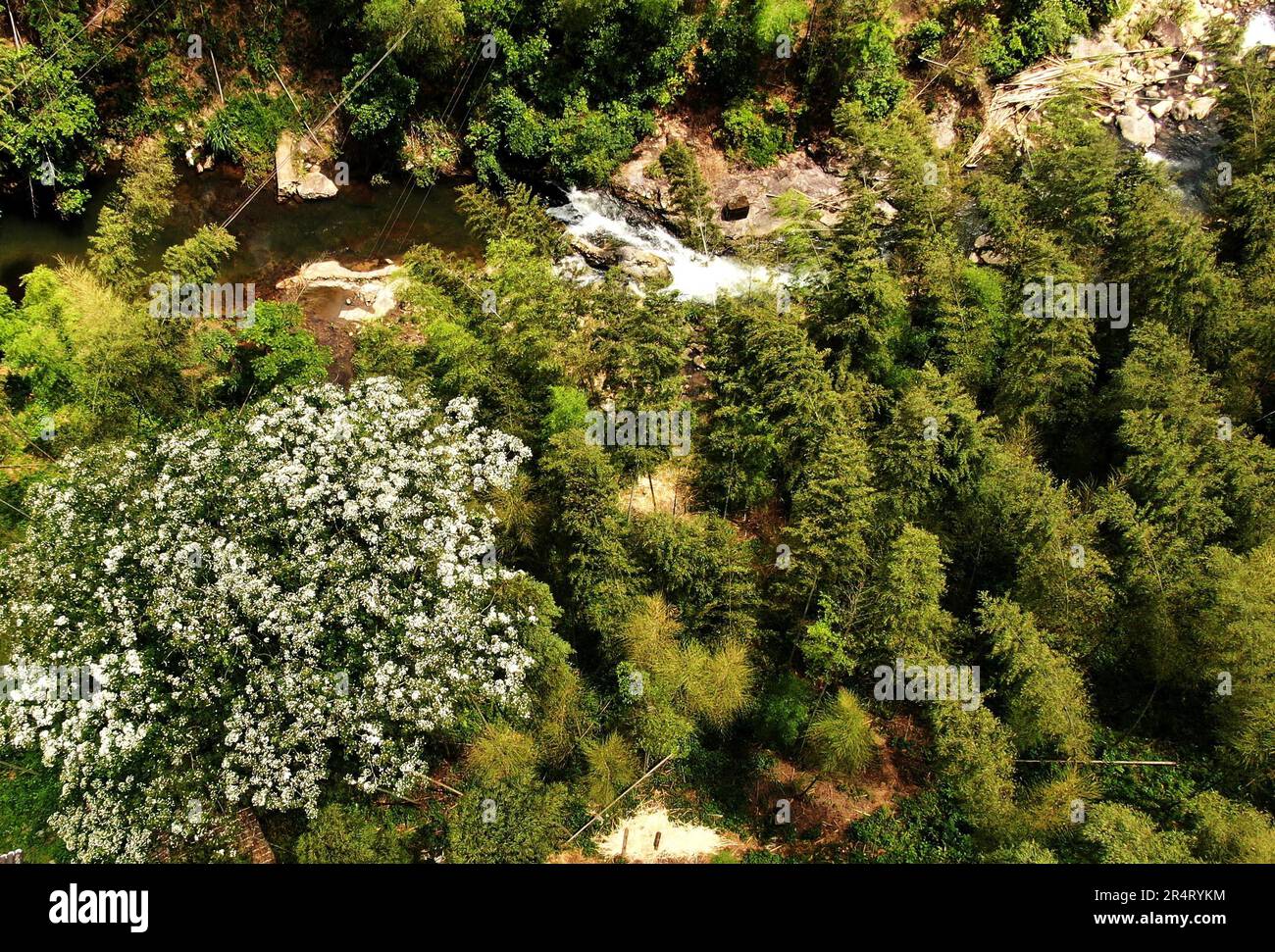 **CHINESE MAINLAND, HONG KONG, MACAU AND TAIWAN OUT** Aerial photo ...