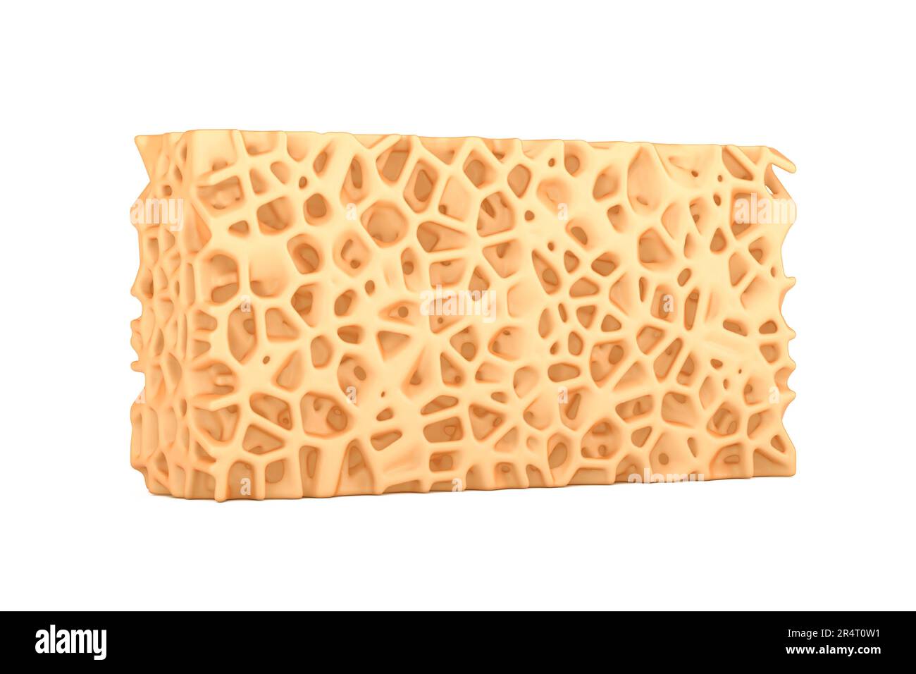 Sponge Bone Structure Medical Texture Block extreme closeup. 3d ...