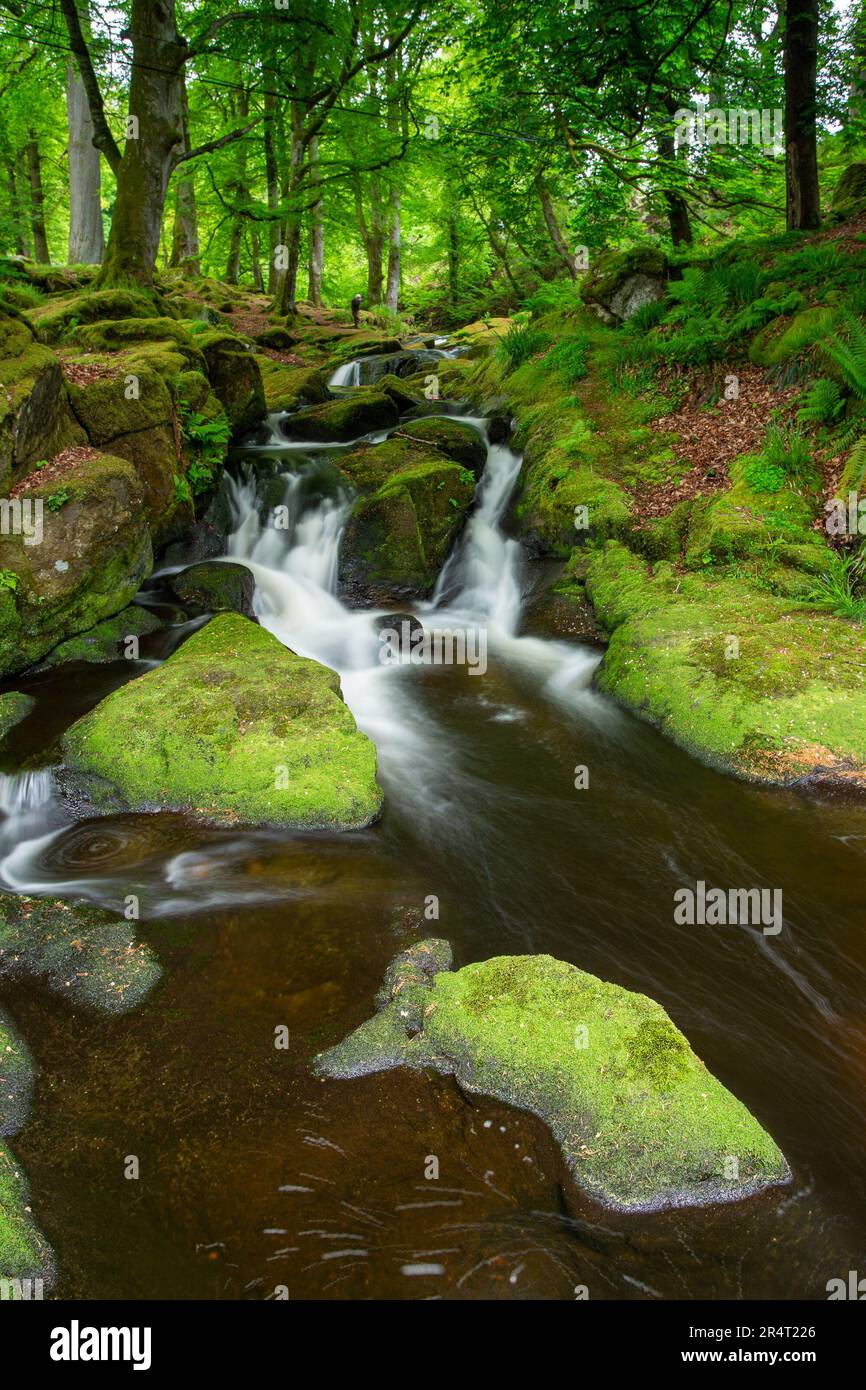 Cloghleagh Falls in Wicklow, Ireland Stock Photo - Alamy