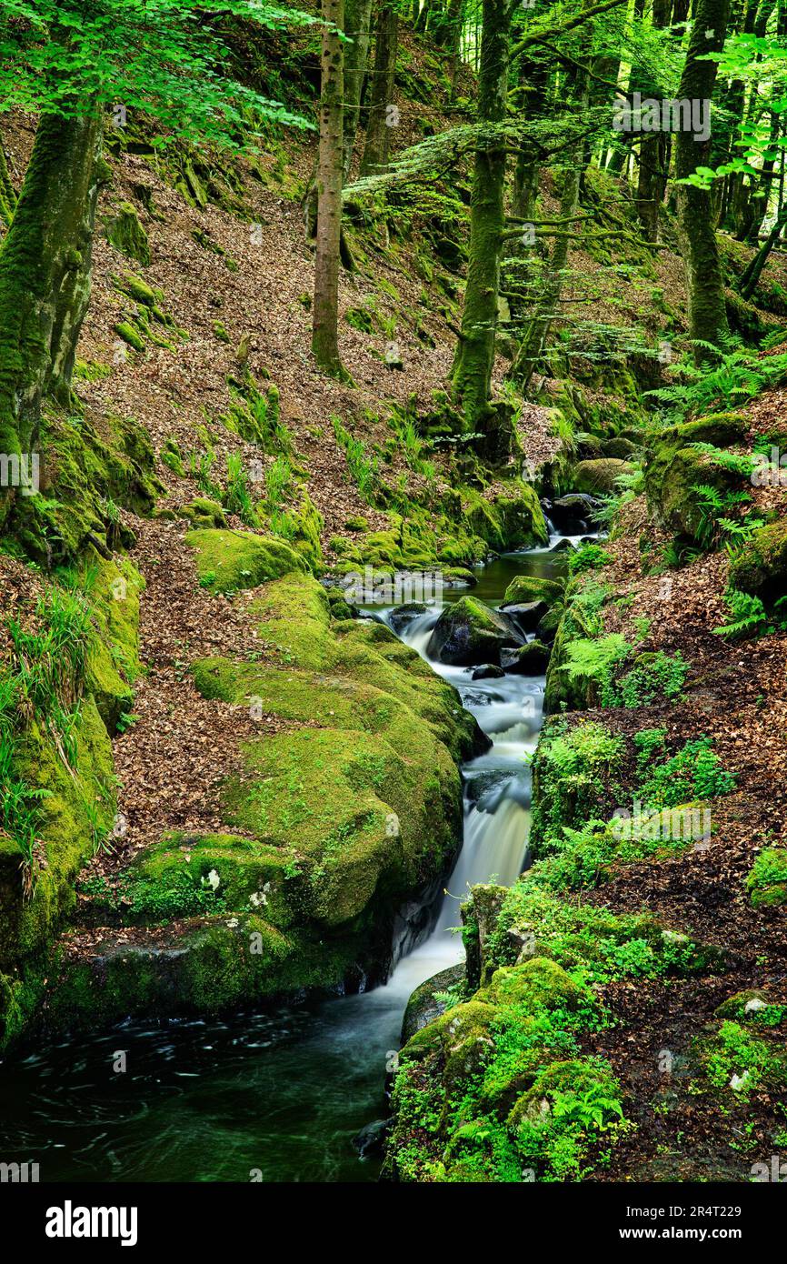 Cloghleagh Falls in Wicklow, Ireland Stock Photo - Alamy