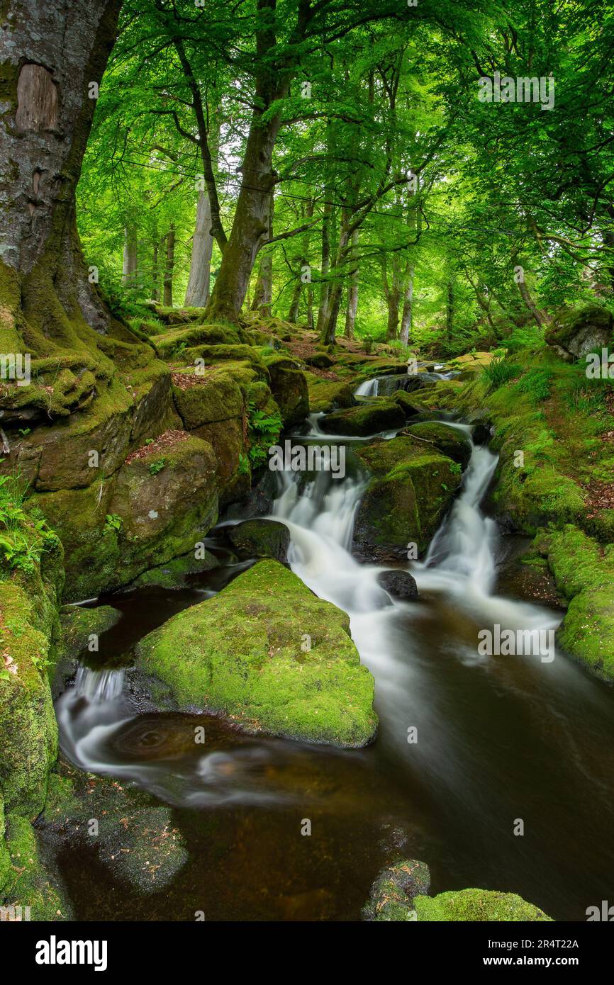 Cloghleagh Falls in Wicklow, Ireland Stock Photo - Alamy