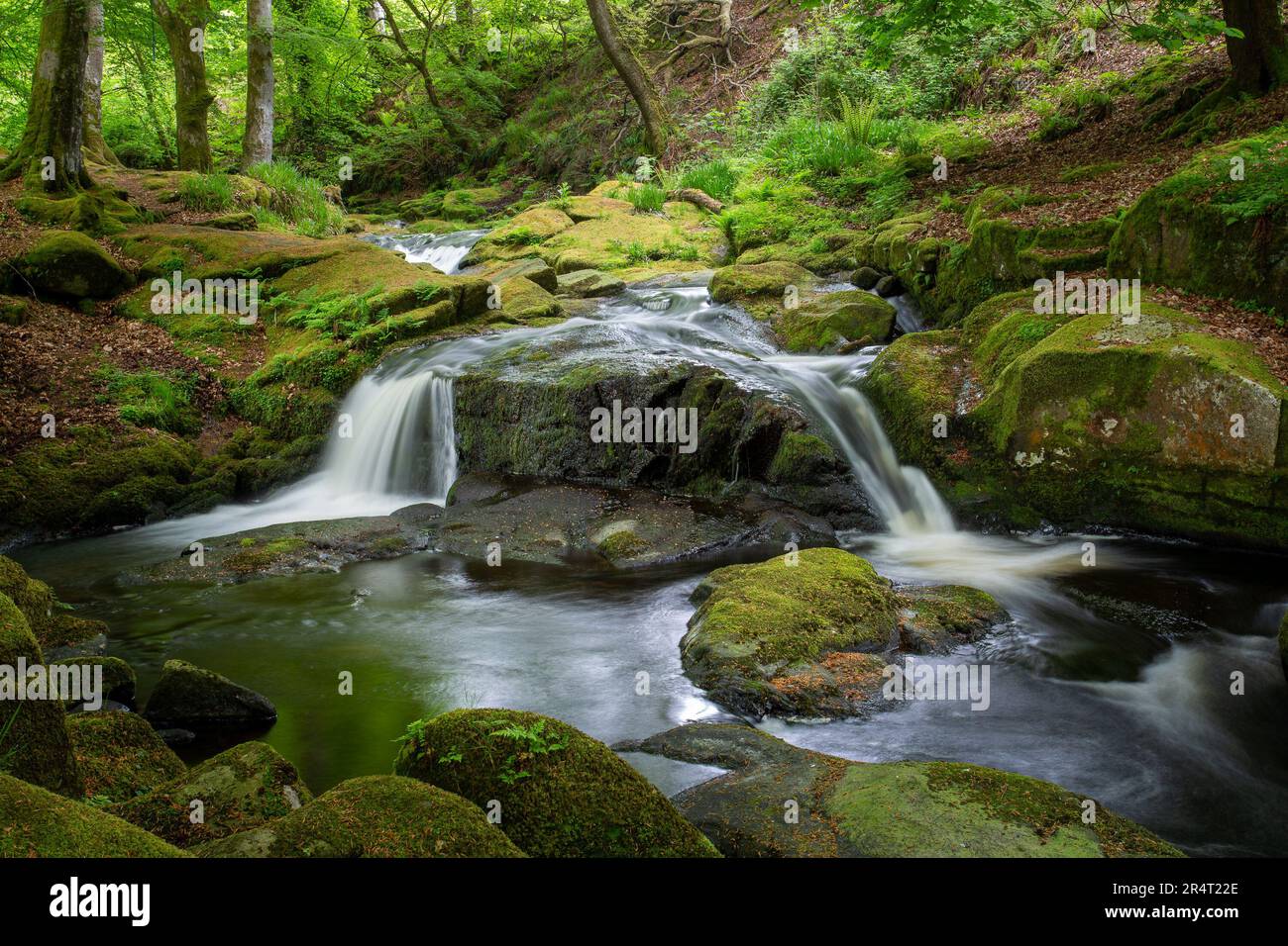 Cloghleagh Falls in Wicklow, Ireland Stock Photo - Alamy