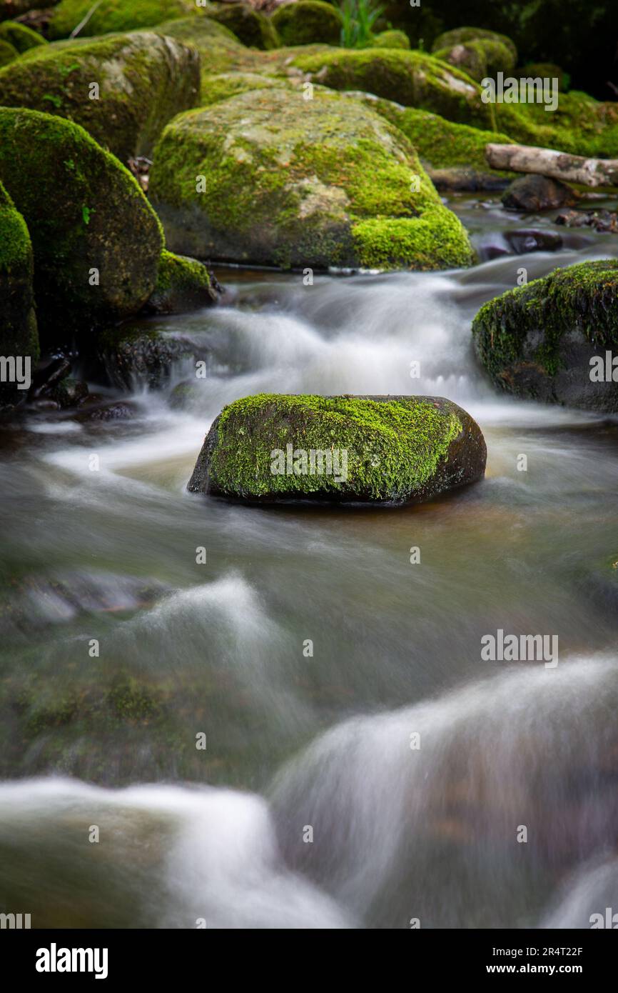 Cloghleagh Falls in Wicklow, Ireland Stock Photo - Alamy