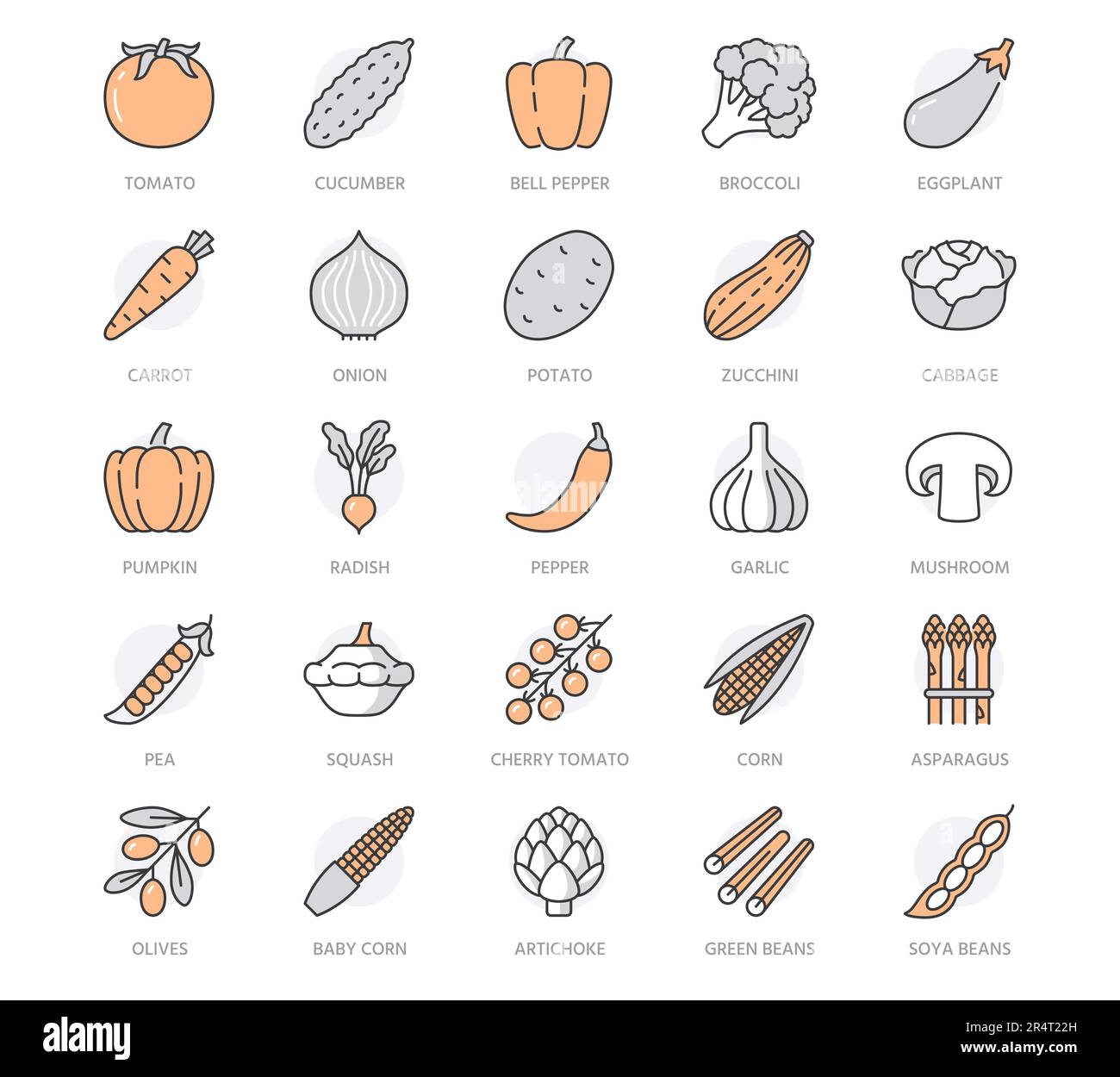 Vegetables flat line icons set. Fresh food - tomato, broccoli, corn ...