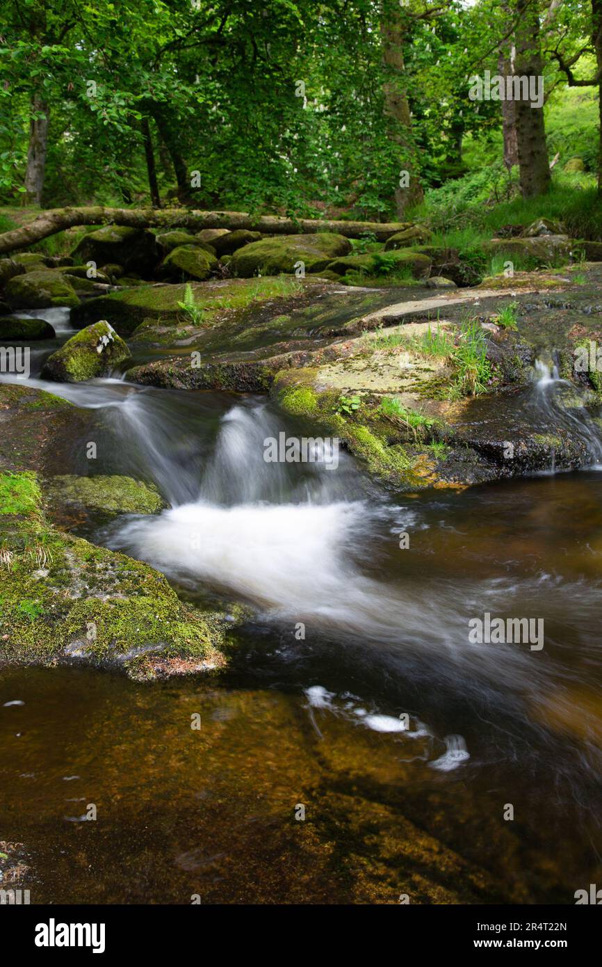 Cloghleagh Falls in Wicklow, Ireland Stock Photo - Alamy