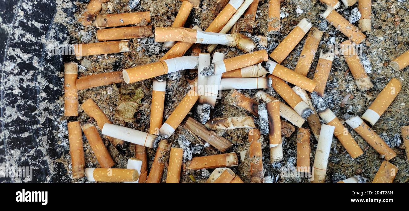 cigarette butts combined in a cigarette disc Concept of many cigarette ...