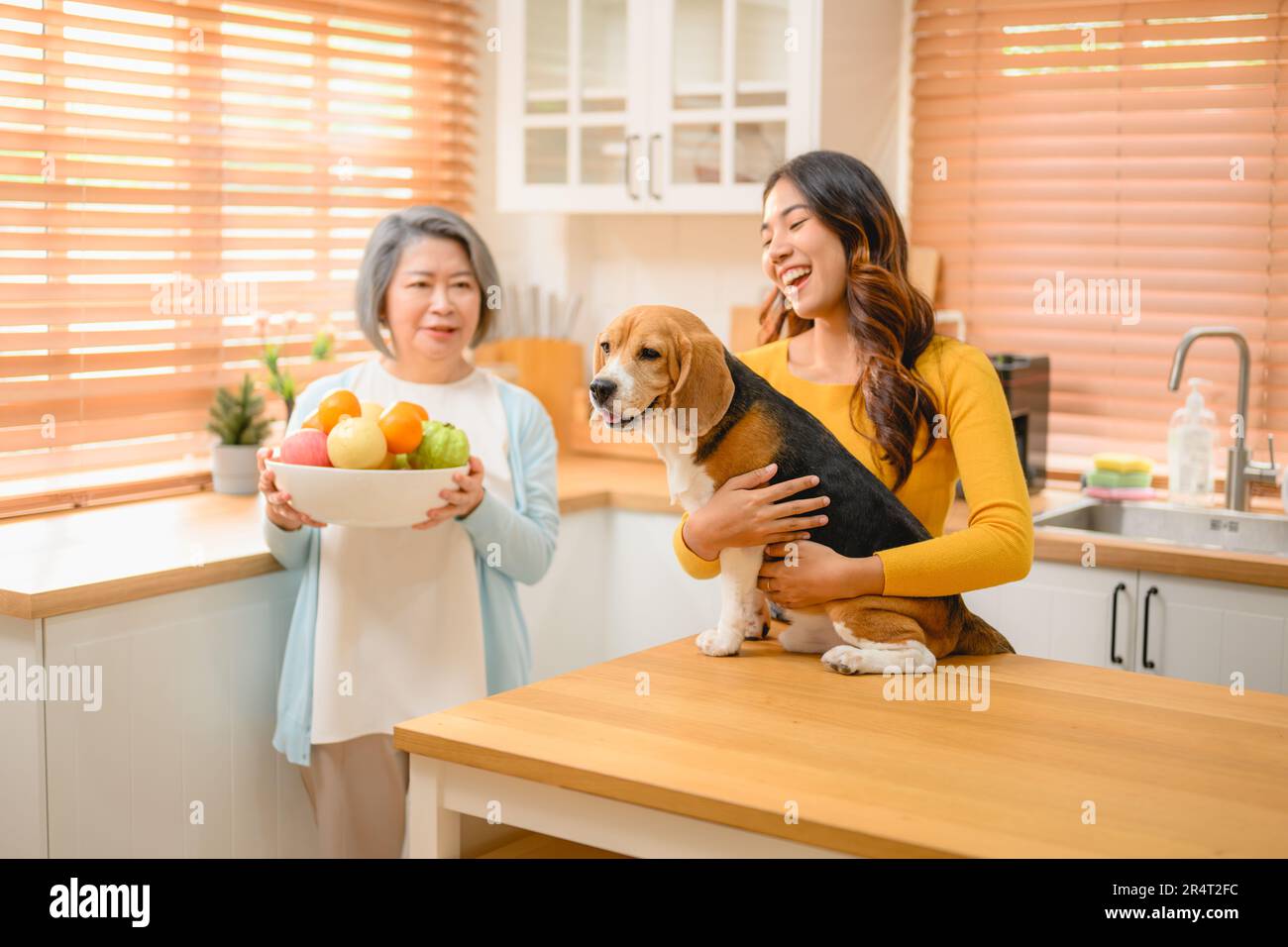 happy family grandmother and daughter playing with dog. happy pets ...