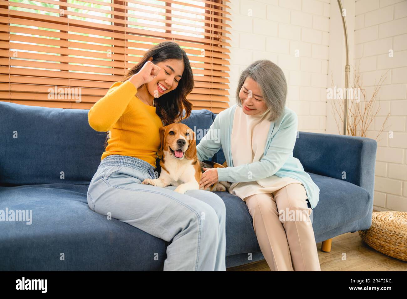 A woman is shown in a friendly interaction with her dog, a playful ...