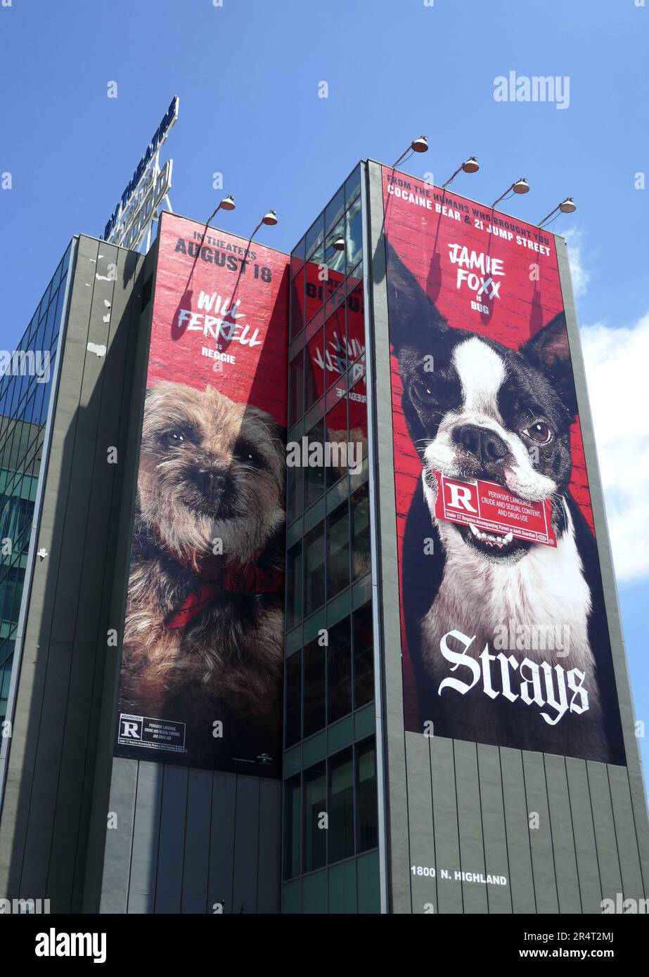 Los Angeles, California, USA 27th May 2023 Strays Billboard on May 27 ...