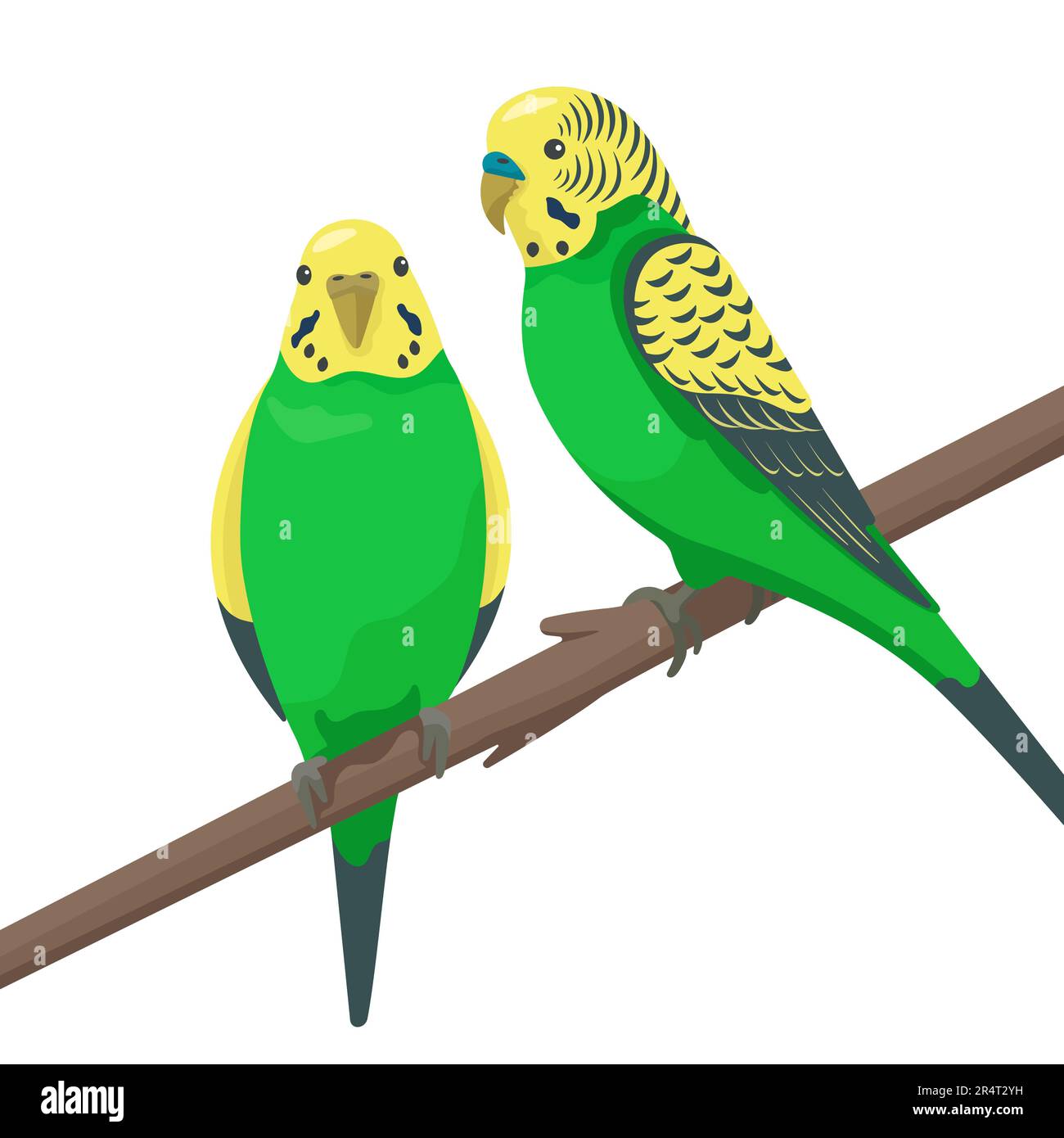 Cute flat vector love parrots sitting on a branch isolated on white ...