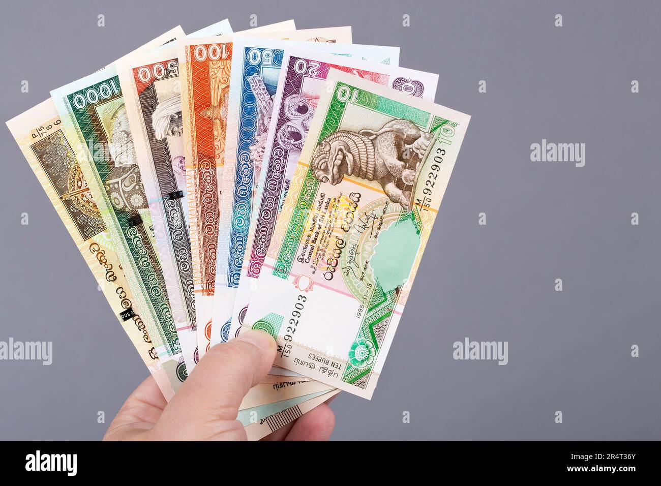 Sri Lankan money - rupee in the hand on a gray background Stock Photo ...