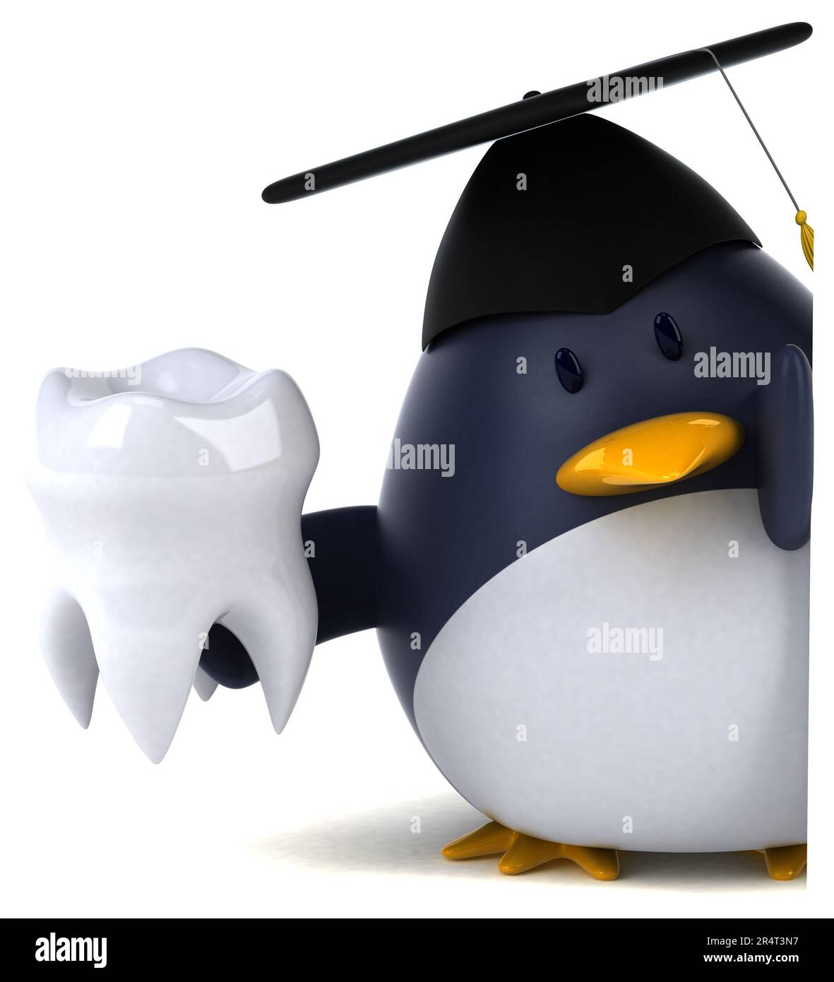 Penguin teeth hi-res stock photography and images - Alamy