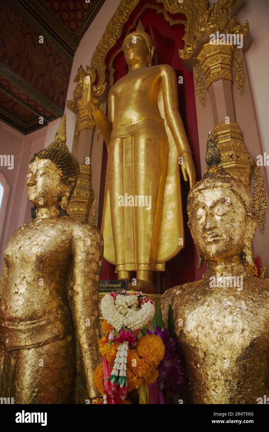 Phra Ruang Rojanarit and several standing Buddha images Gold at Wat ...