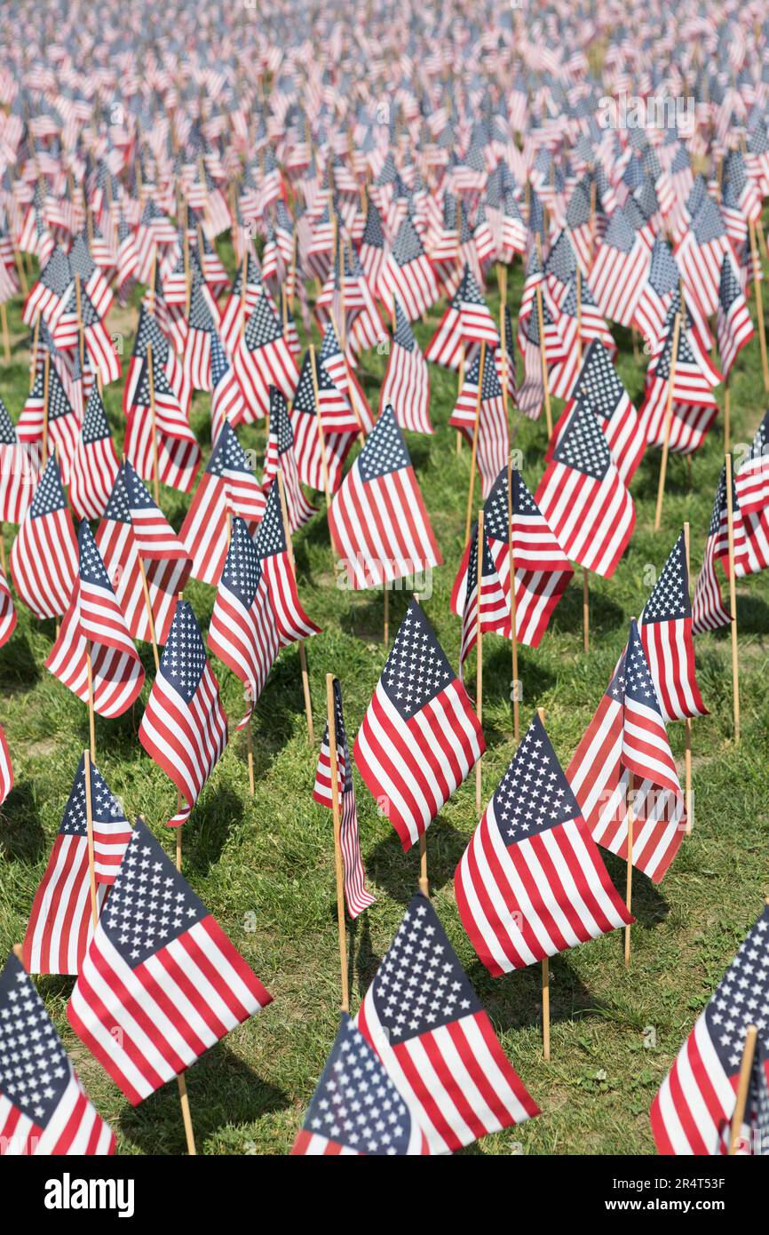 Field of american flags hi-res stock photography and images - Alamy