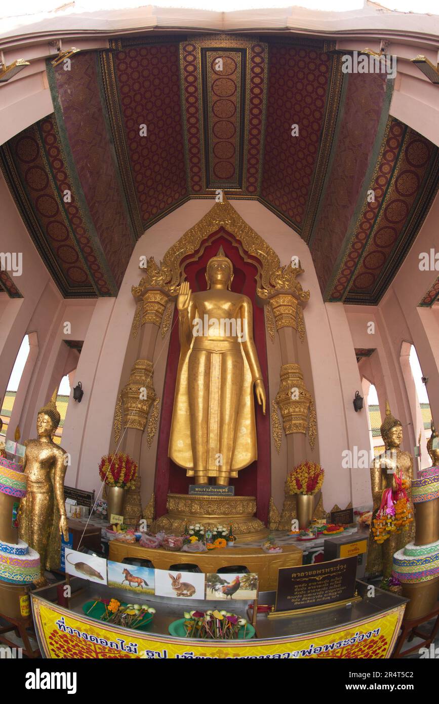 Phra Ruang Rojanarit and several standing Buddha images Gold at Wat ...