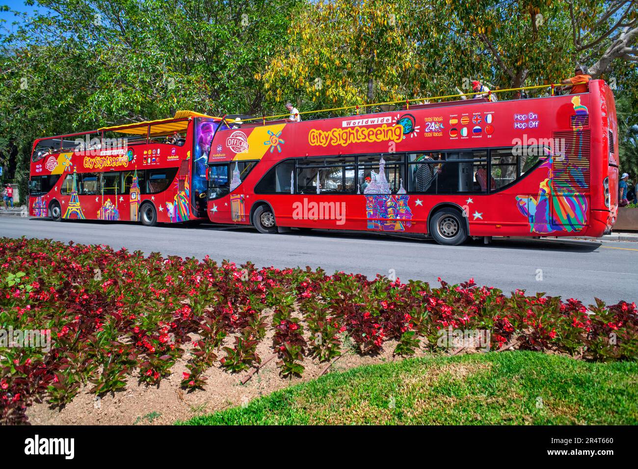 Tourist Bus in the historic centre of Palma de Majorca, Majorca ...