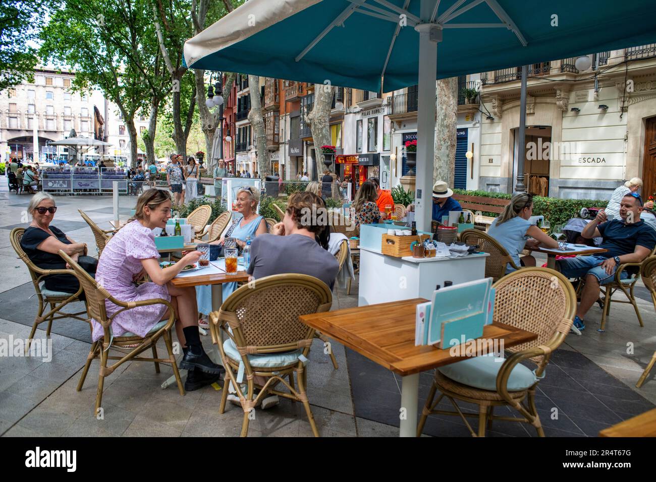 Bars and restaurants in Paseo del Borne or Paseo del Borne, Passeig des ...