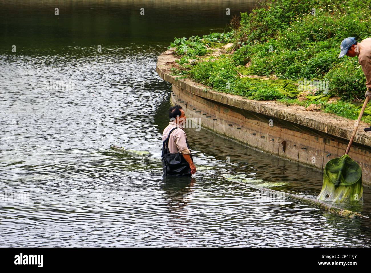 Daily team hi-res stock photography and images - Alamy