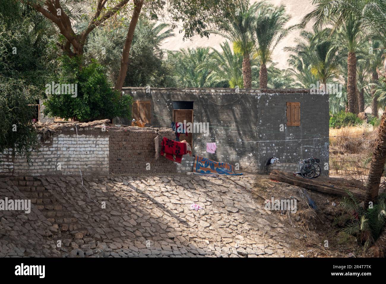 A river bank view on the river Nile, Egypt as seen from the water Stock ...
