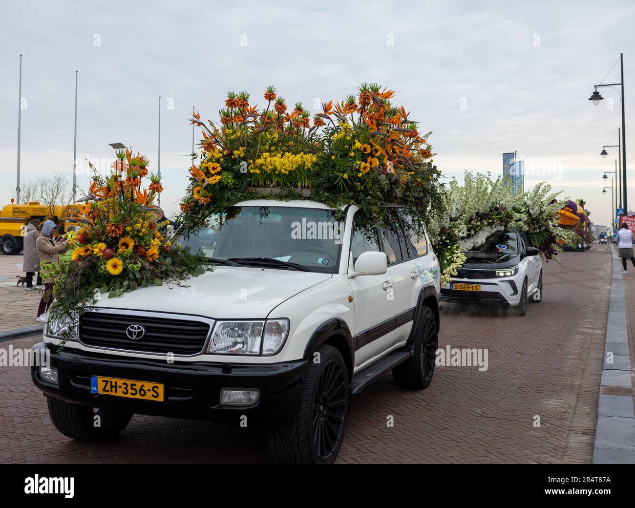 Tulip toyota hi-res stock photography and images - Alamy