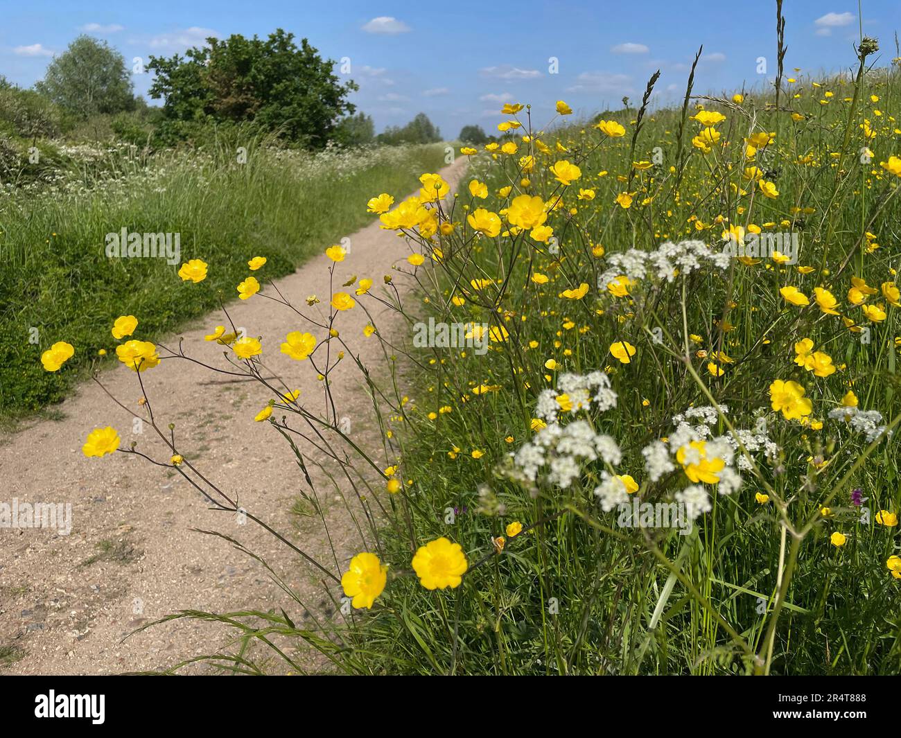 COUNTRY PATH in Berkshire, England. Photo: Tony Gale Stock Photo - Alamy