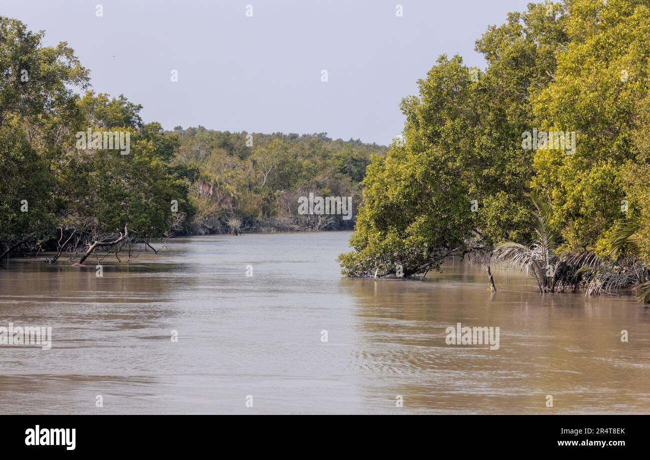 Sundarbans is a tidal wetland forest delta with an area of about 10,200 ...