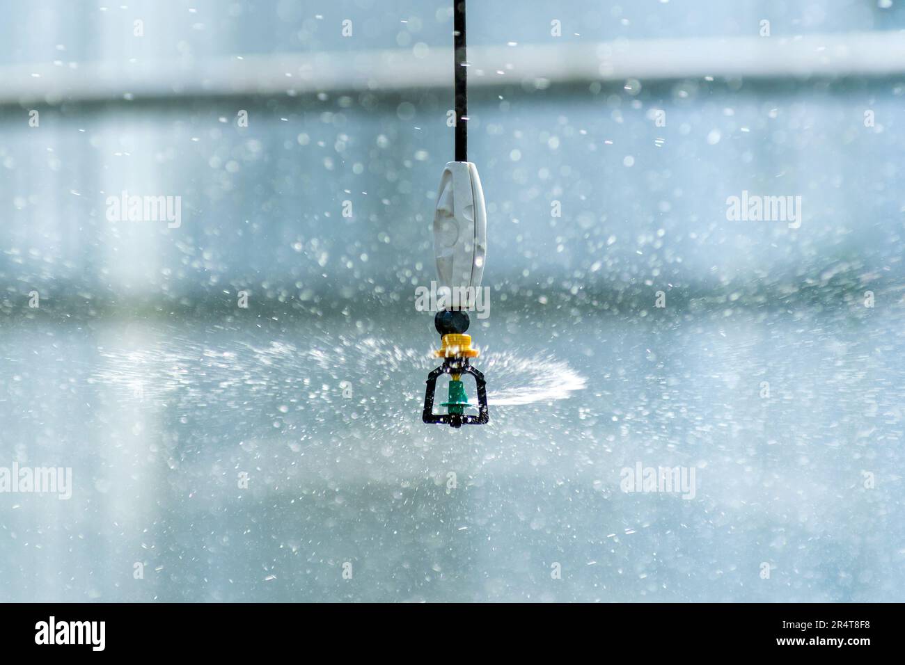 Closeup of action tap connector of water irrigation system with ...