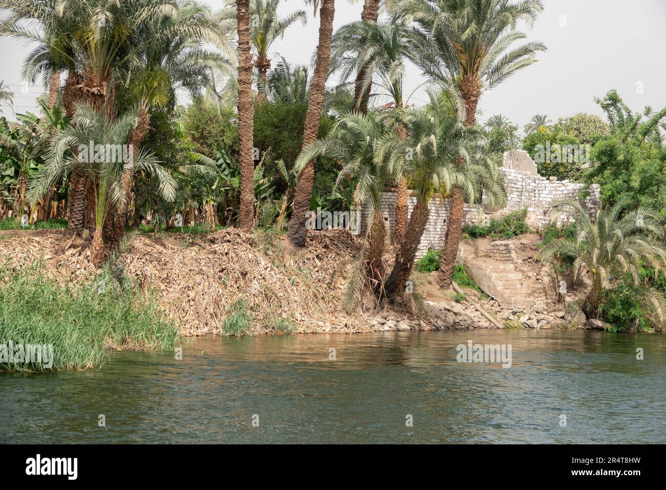 A river bank view on the river Nile, Egypt as seen from the water Stock ...