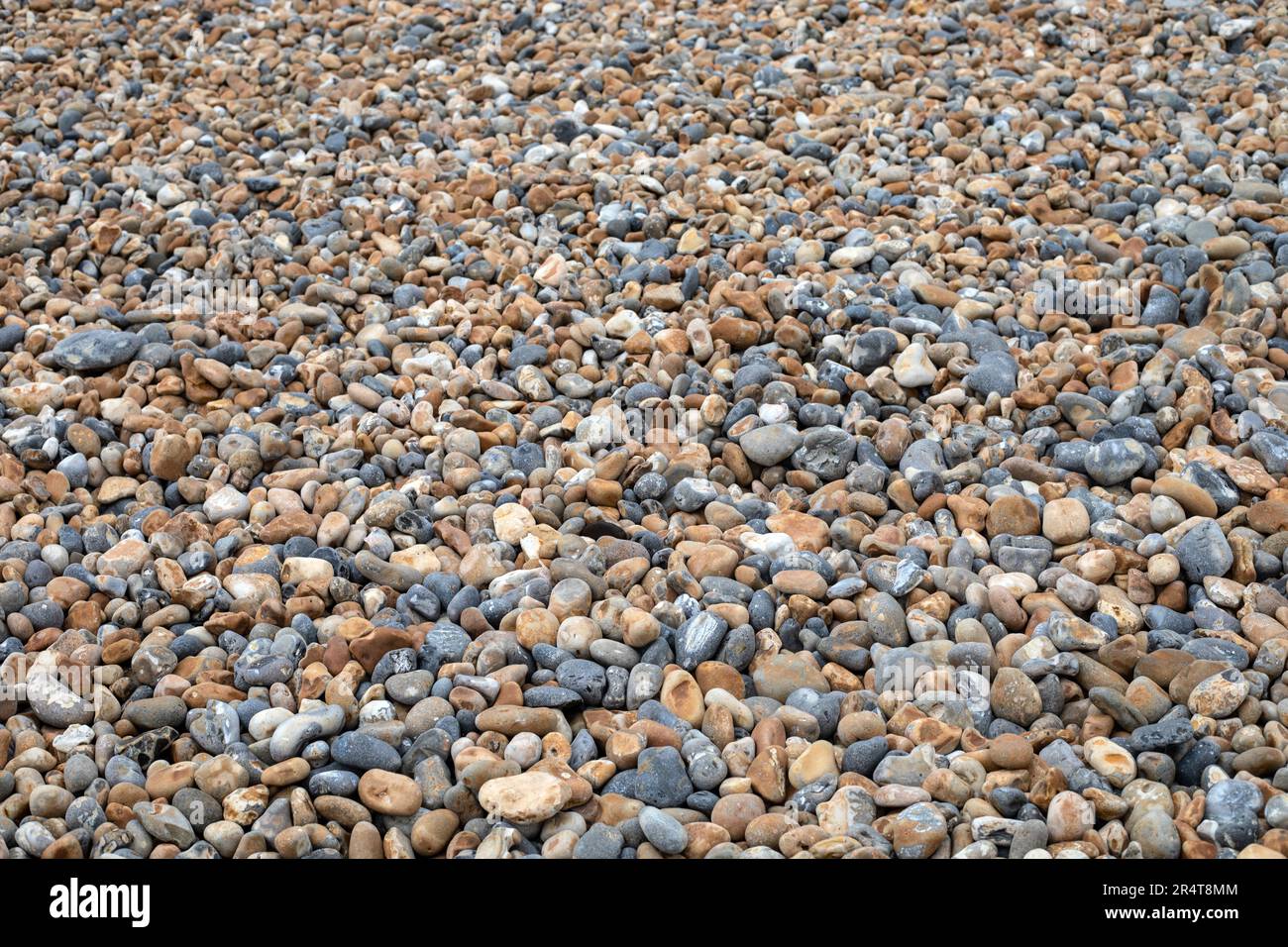 The pebble beach at Brighton, England, UK. Grey and brown pebbles can ...