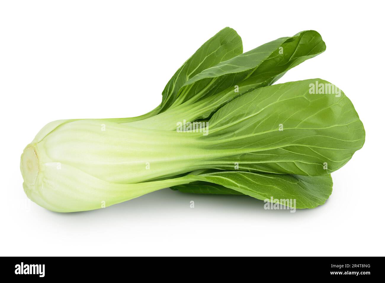 Fresh pak choi cabbage isolated on white background with full depth of ...