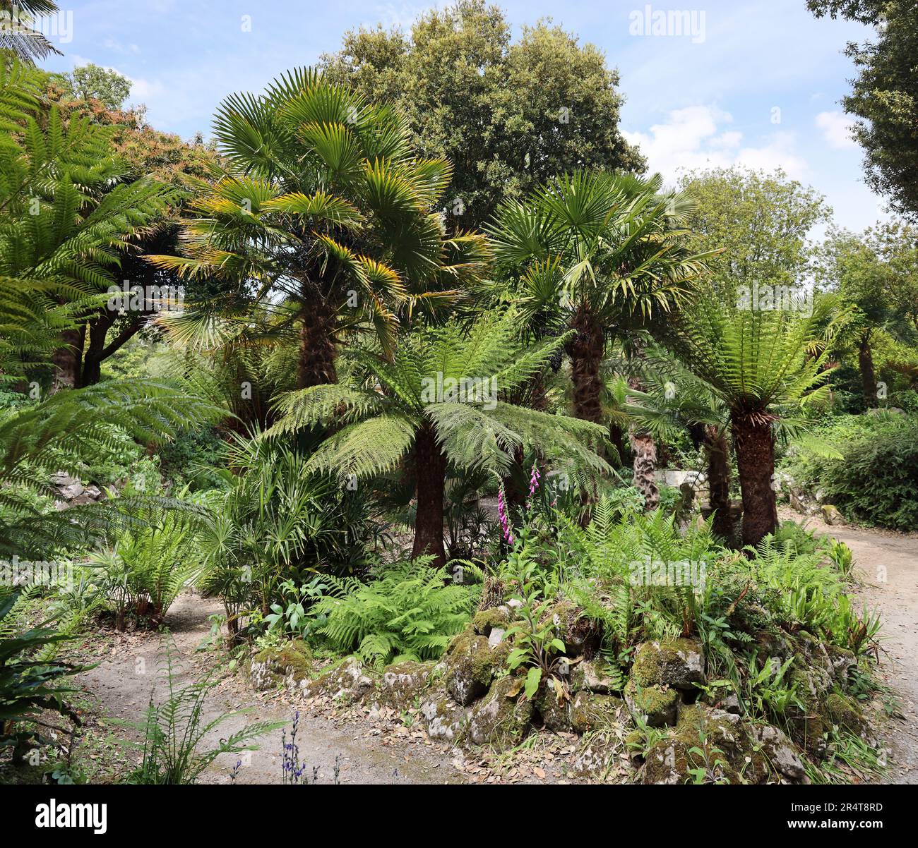 The Fern Dell and Pets Cemetery in the corner of the formal gardens at ...