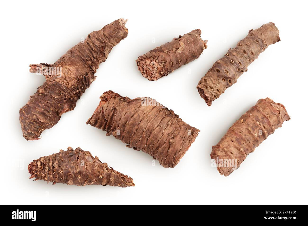 Rhodiola rosea root isolated on white background. Top view. Flat lay ...