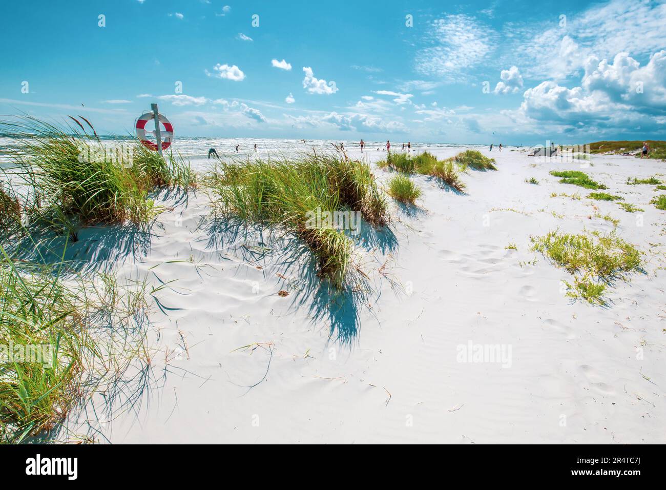 Dueodde, the white sandy beach on the south coast of Bornholm, Denmark ...